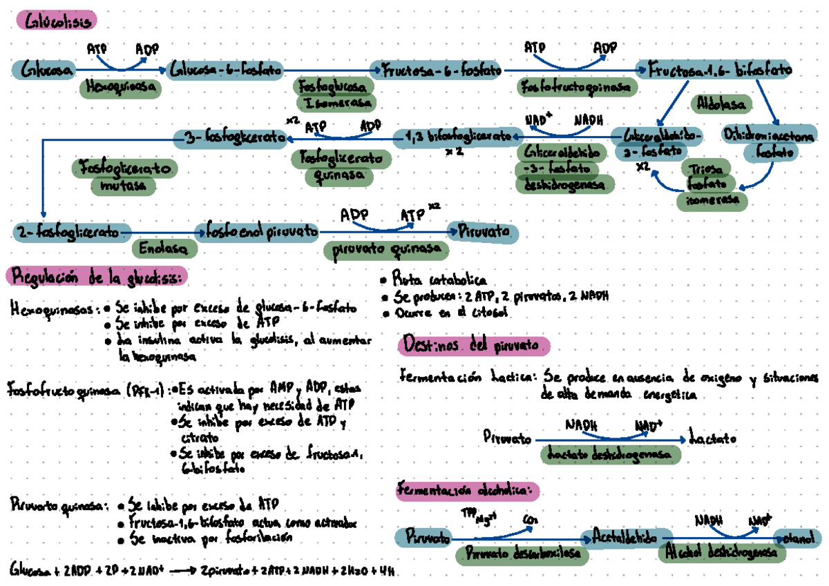 Solemne 3 - E - G & i 1 E E i 2 L I E al & ↑ e I : G - · o E ⑧ e e +E E r Es · · · E E = E ...