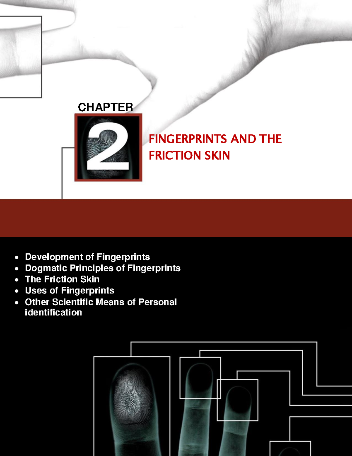 Chapter 2 Fingerprints AND THE Friction SKIN - CHAPTER FINGERPRINTS AND ...