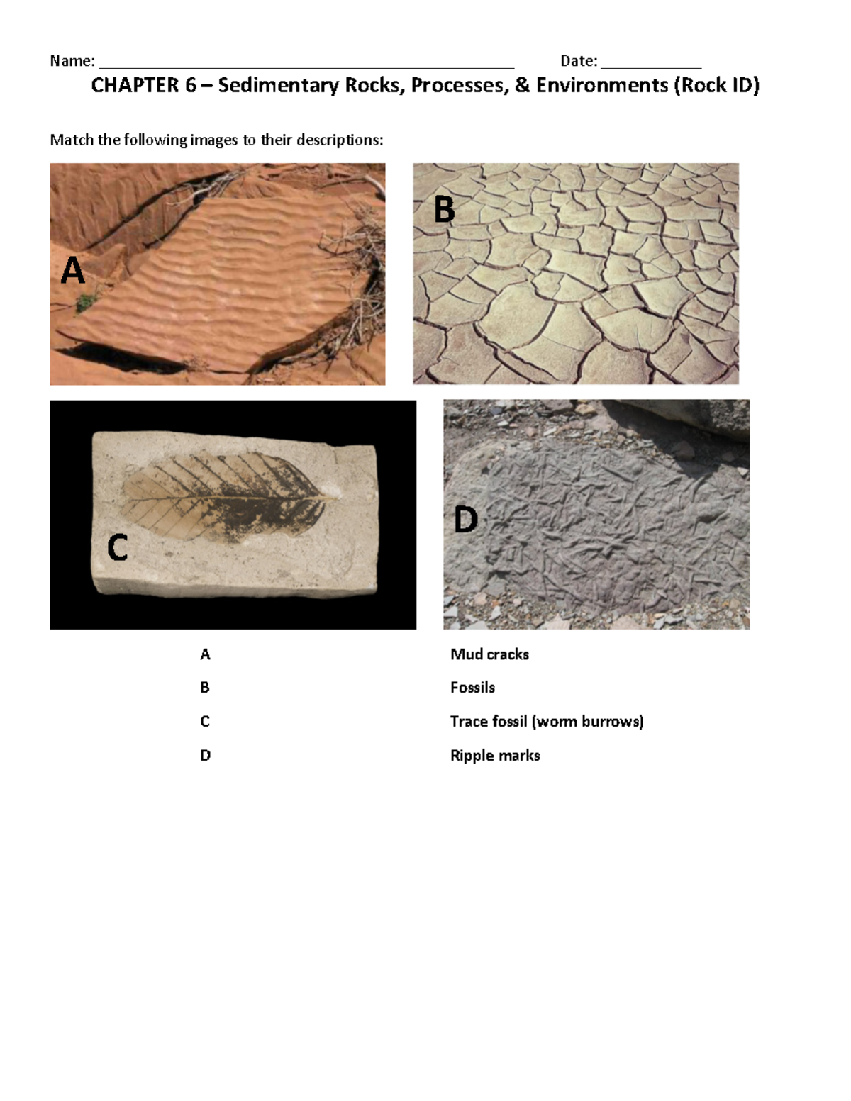 Ch6-Sedimentary Rocks - Name ...