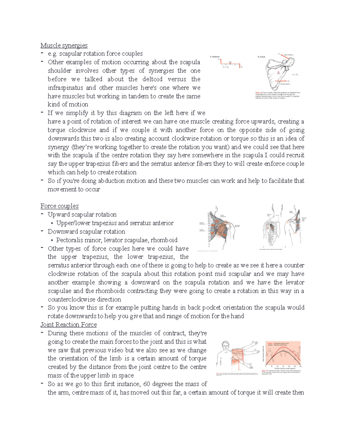 L30 - Professor Pearsall - Muscle synergies - e. scapular rotation ...