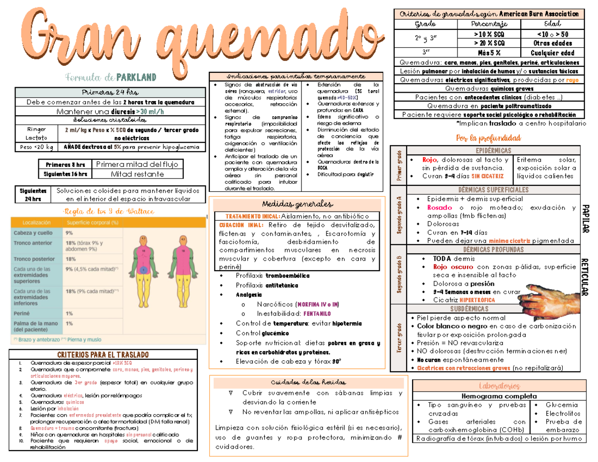 Gran quemado - Gran quemado Criterios de gravedad según American Burn ...
