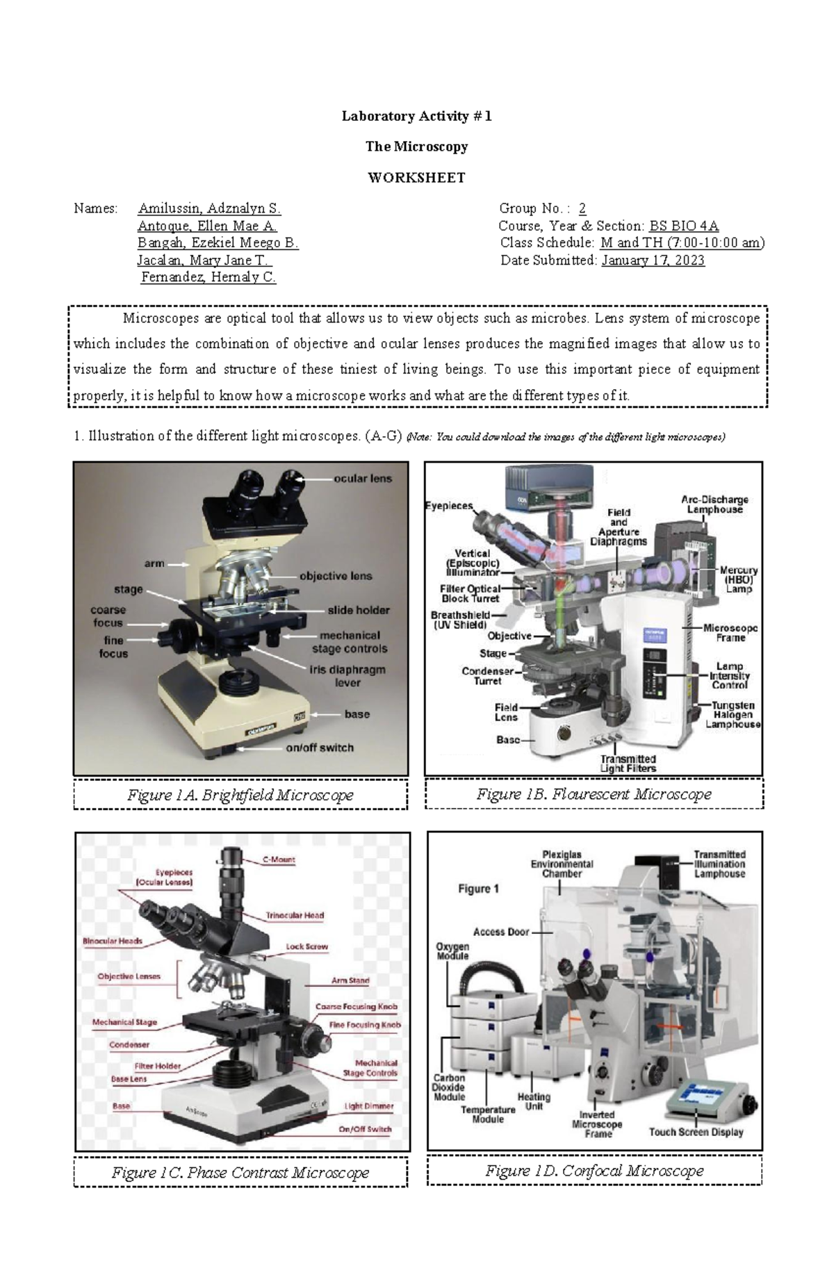 Laboratory Activity 1 The Microscopy Group 2 - Laboratory Activity # 1 ...