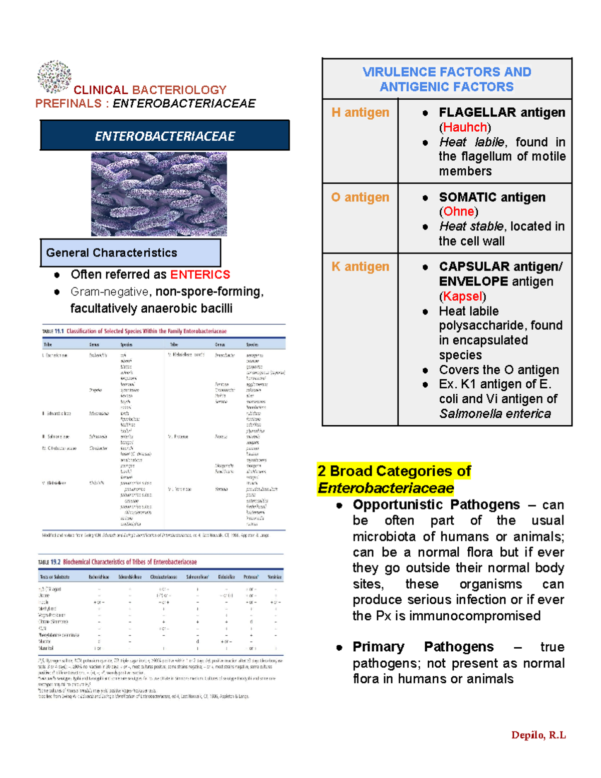 Enterobacteriaceae - ####### CLINICAL BACTERIOLOGY ####### PREFINALS ...