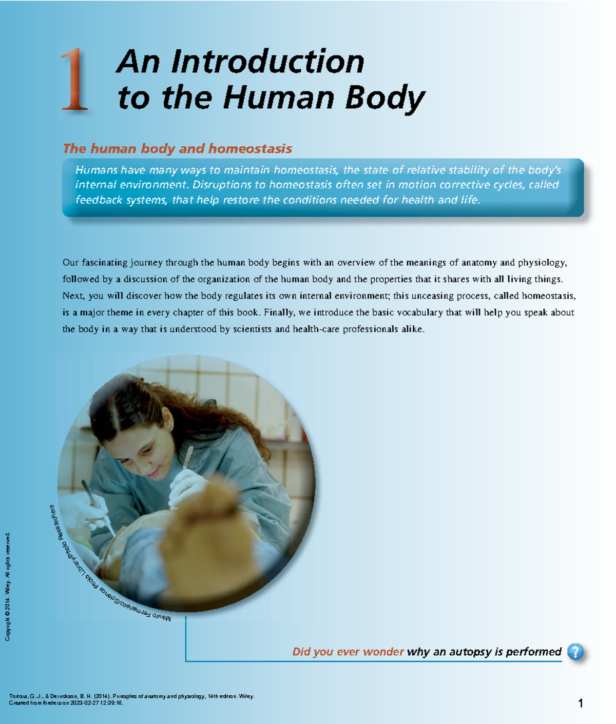 1 AN Introduction TO THE Human BODY Principles of Anatomy and ...