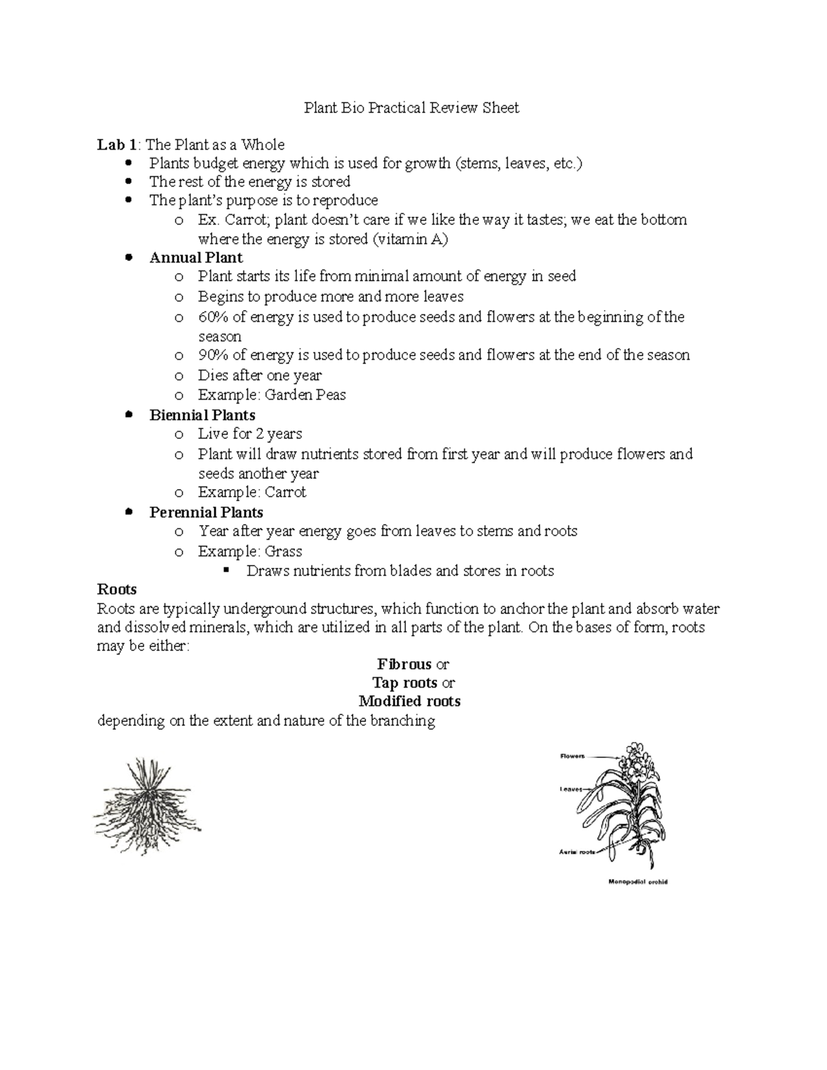 Plant Bio Practical Review Sheet - ) The rest of the energy is stored ...