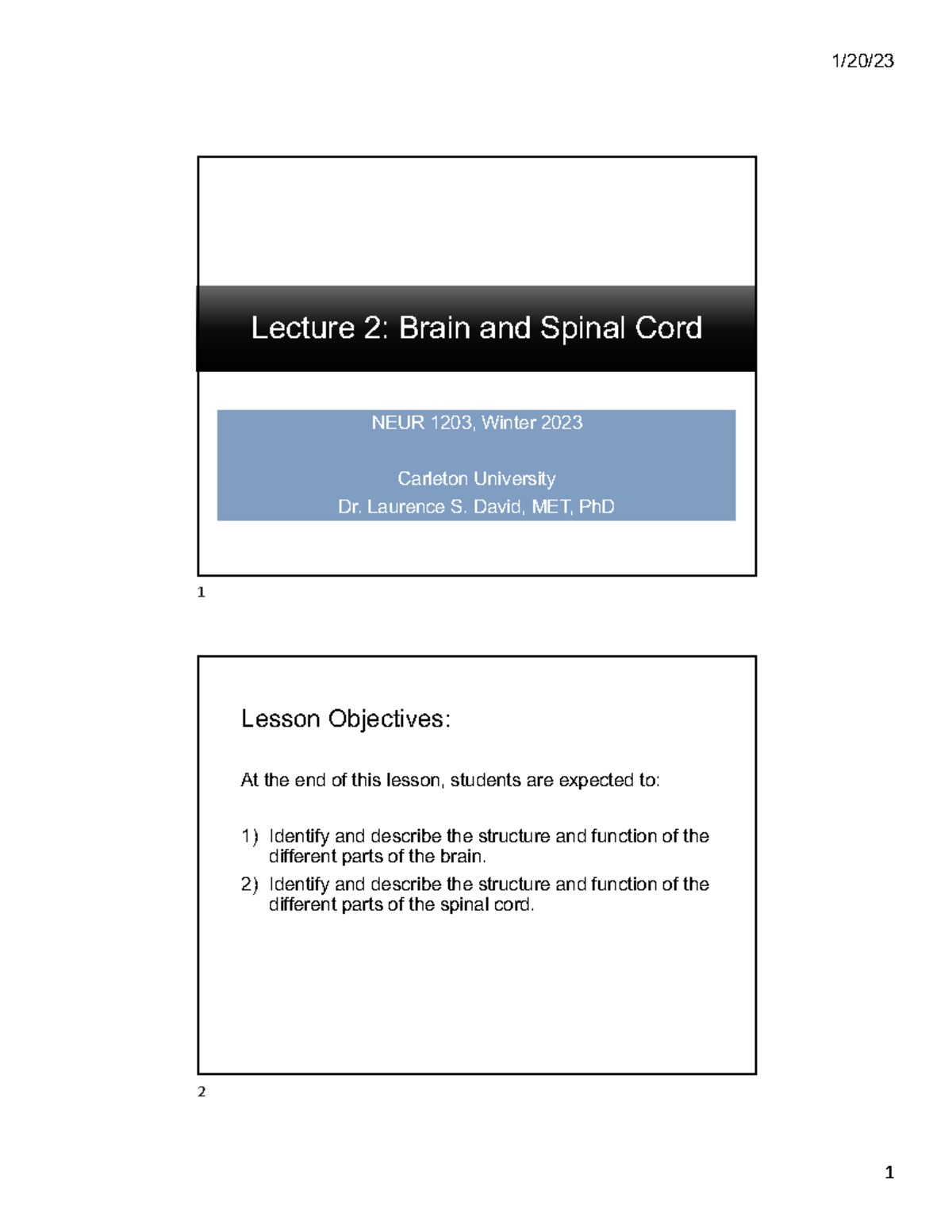 NEUR 1203 - Lecture 2 - Lecture 2: Brain and Spinal Cord NEUR 1203 ...