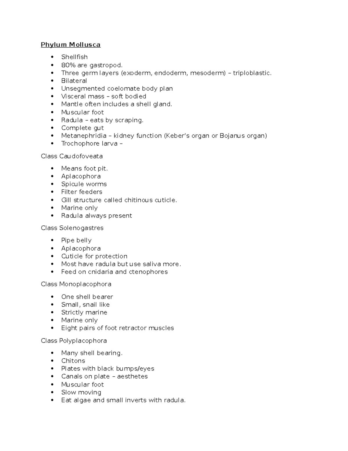 Phylum Mollusca - Notes for Marine Inverts class - Phylum Mollusca ...