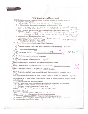 Biology I Unit 2 (A DNA Mastery Unit) - Worksheet 1 DNA Structure ...