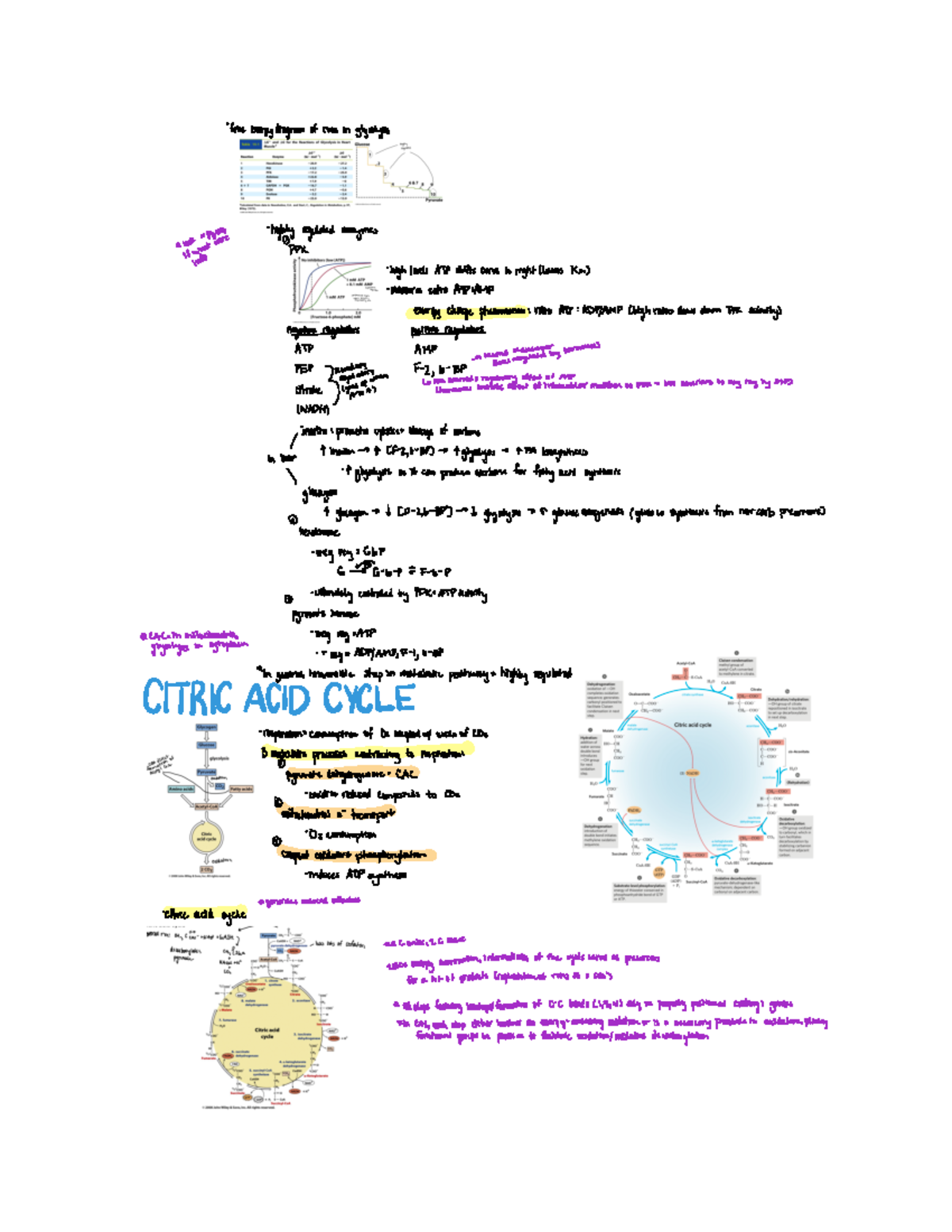CHEM 153A Master Notes 3 - CHEM 153A - Studocu