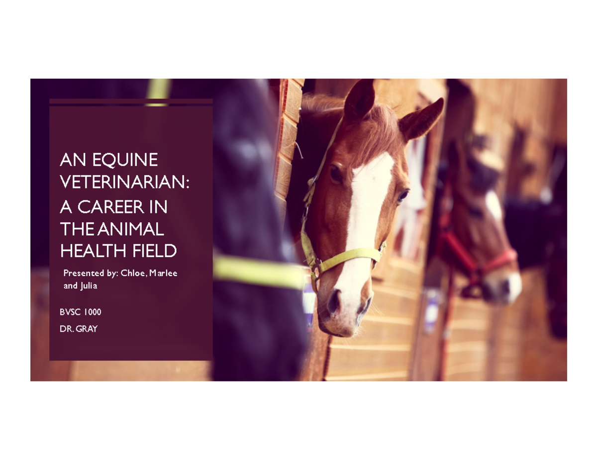 Group 13Presentation - presentation - AN EQUINE VETERINARIAN: A CAREER ...