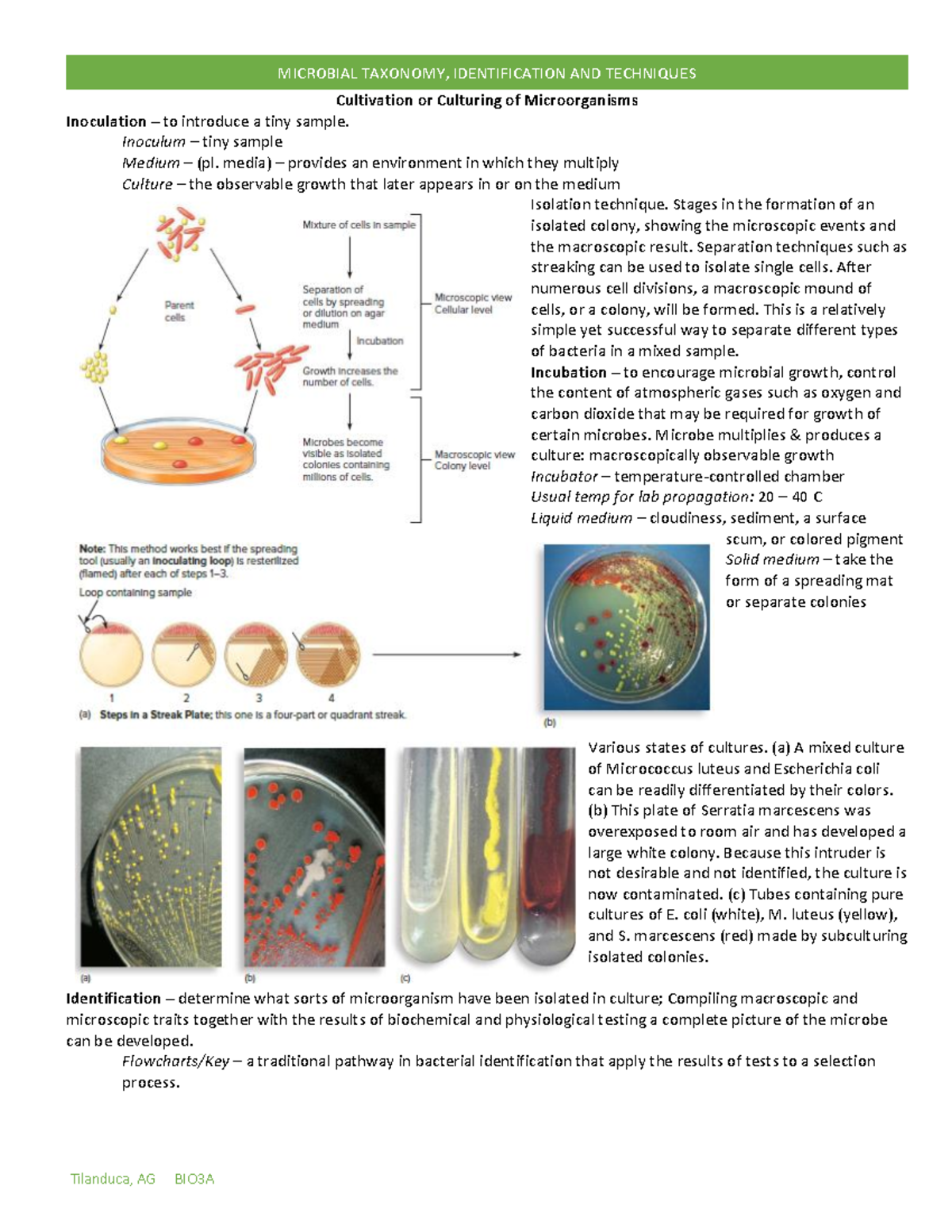 MTIT LEC First Final TERM - Cultivation or Culturing of Microorganisms ...