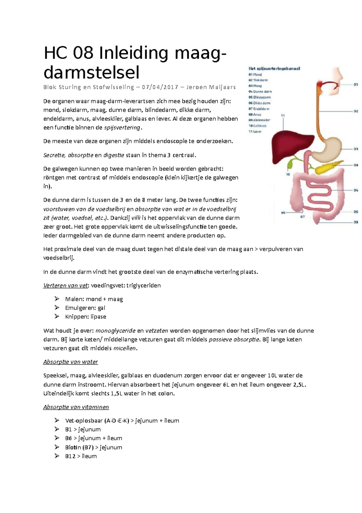 HC 08 Inleiding maag-darmstelsel - Al deze organen hebben een functie ...