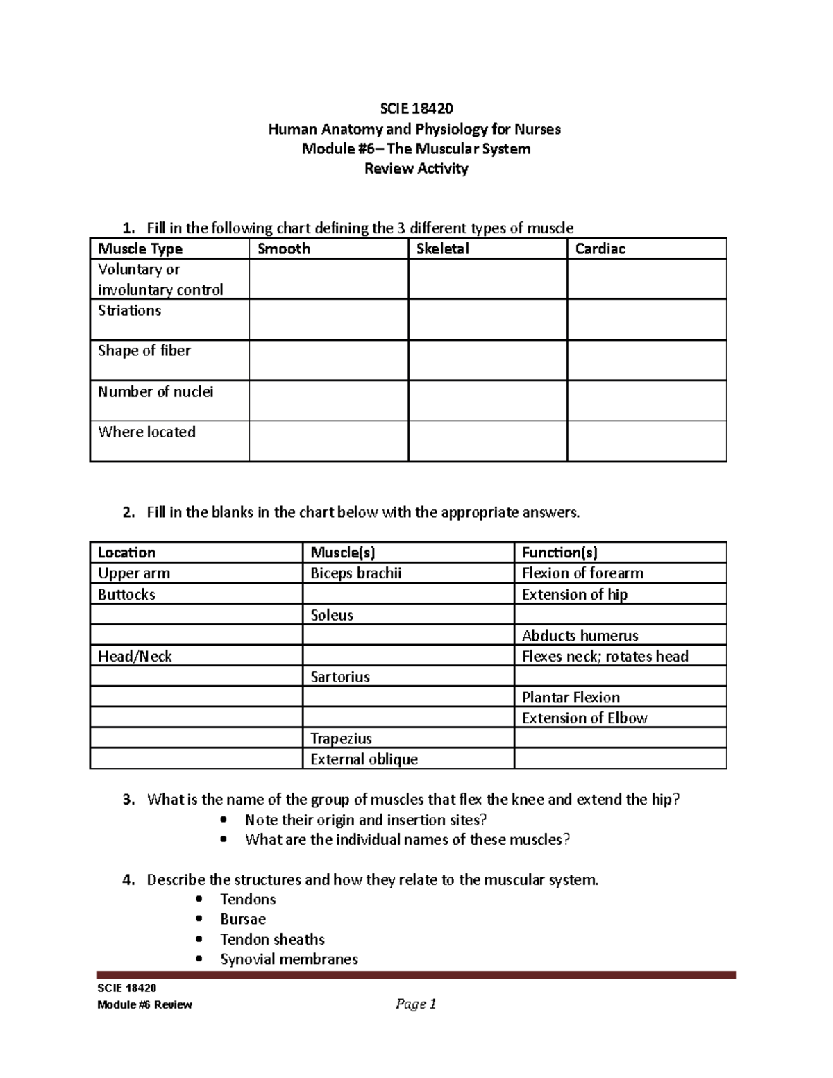 Module #6 Muscular System Review Activity - SCIE 18420 Human Anatomy ...