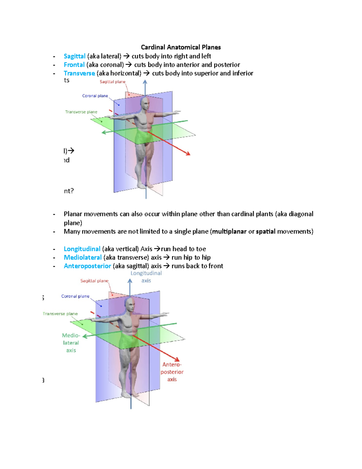 Biomechanics Notes Unit 1 Notes - **Cardinal Anatomical Planes Sagittal ...