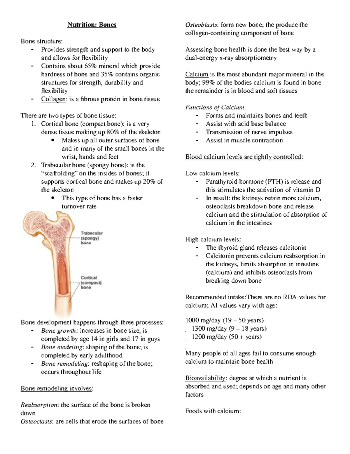 Bone - Teacher Christine Dol - Nutrition: Bones Bone structure ...