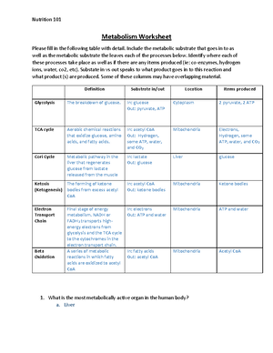 Muscle Essay Portfolio Final - What are muscles? Muscles are soft ...