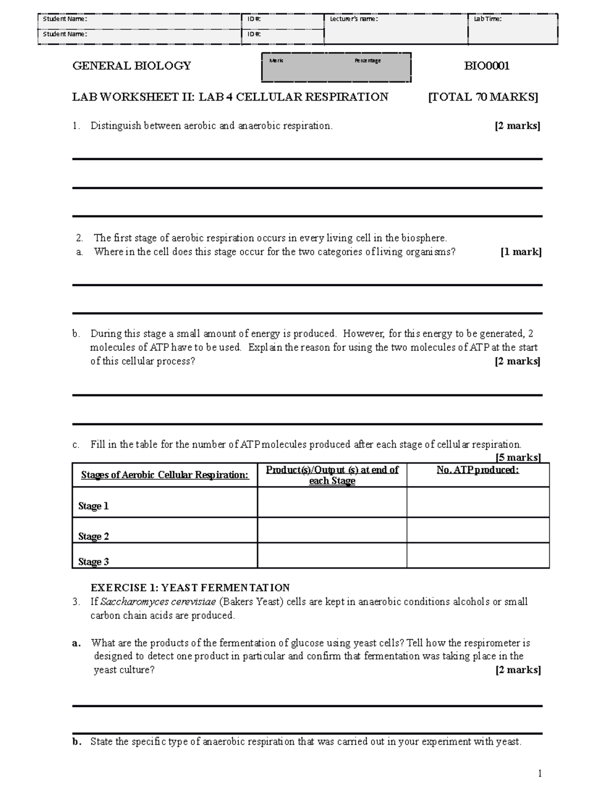 General+Biology+Lab+4+Cellular+Respiration+Worksheet+II+2022 - Student ...