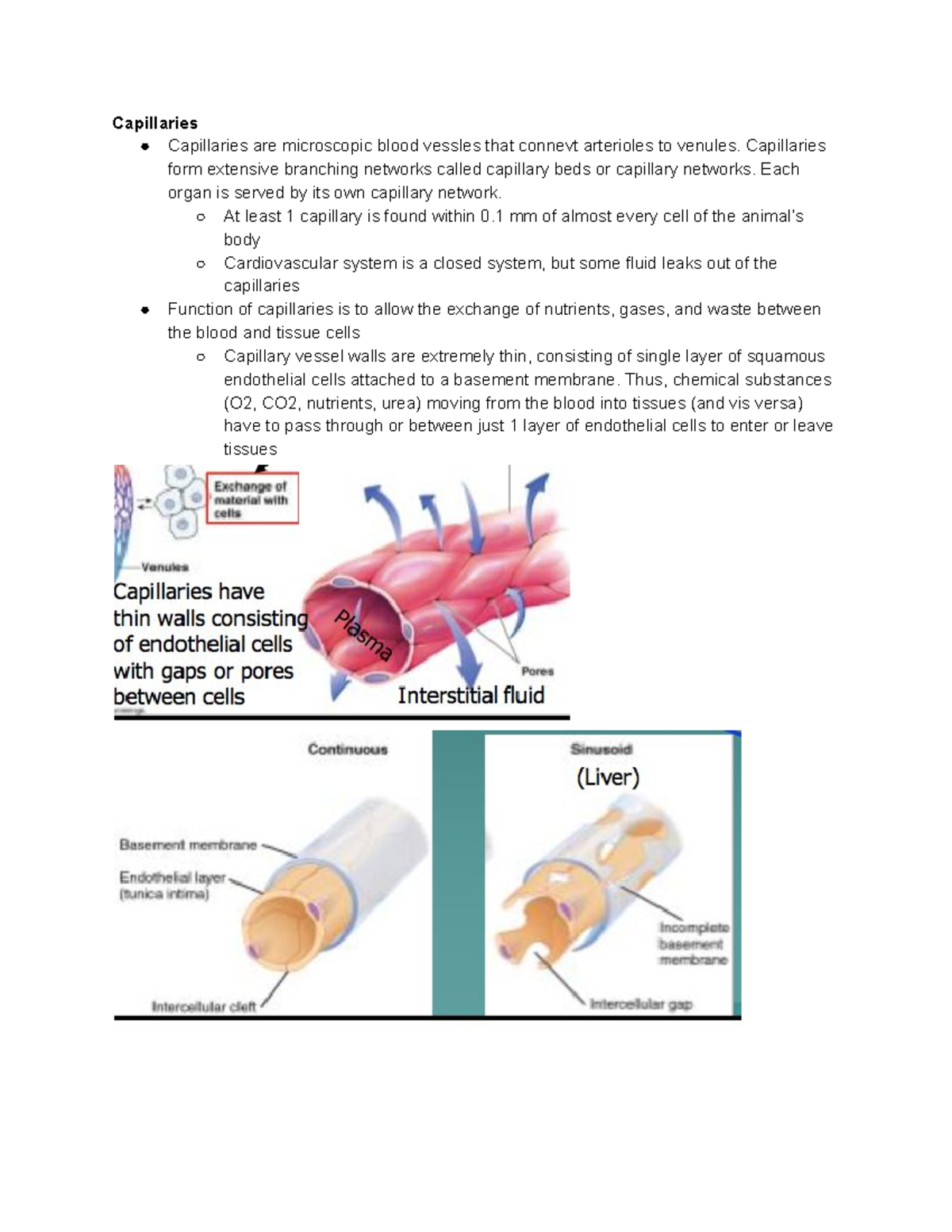 Lecture 18 Capillary bulk flow and lymphatic system - Capillaries ...