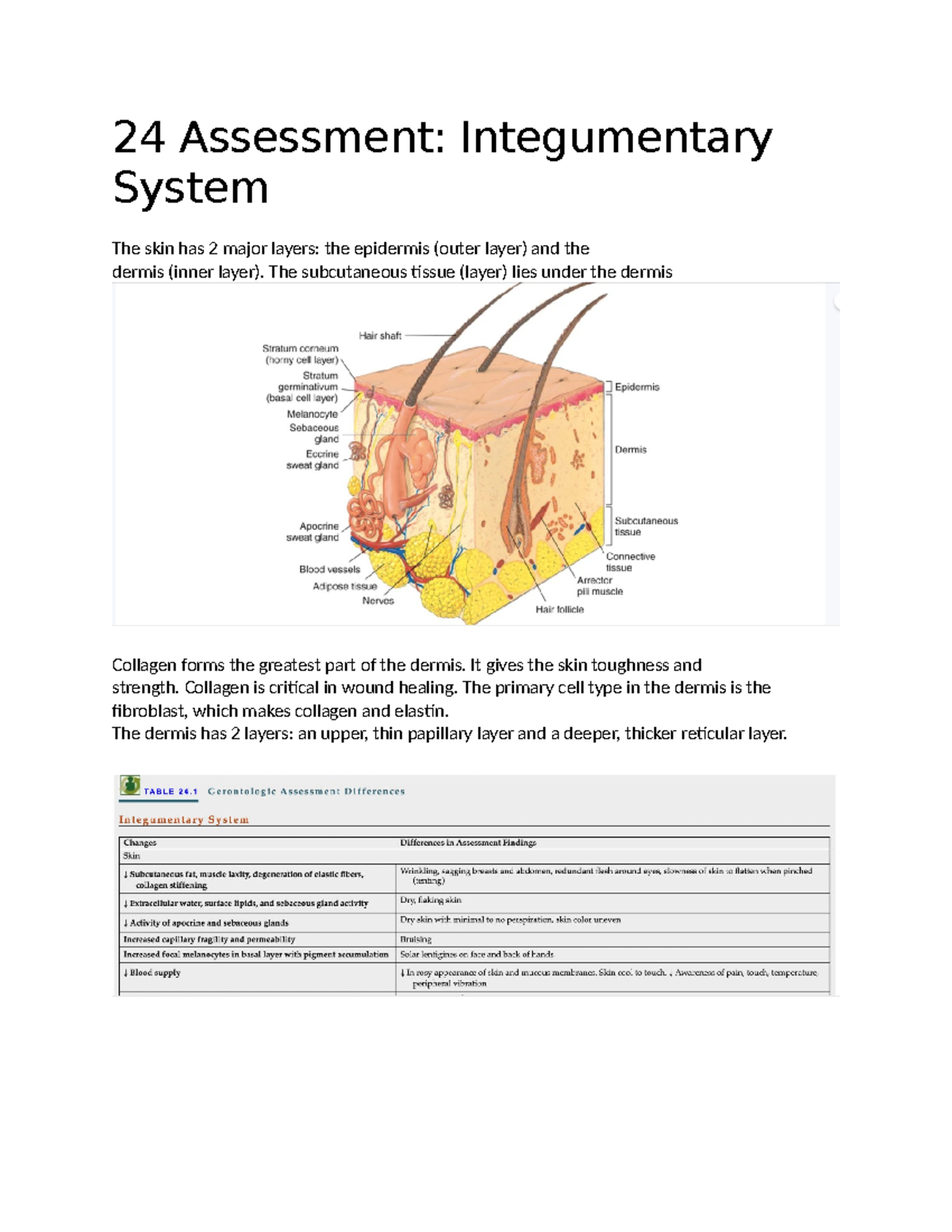 24 Assessment - 24 Assessment: Integumentary System The skin has 2 ...