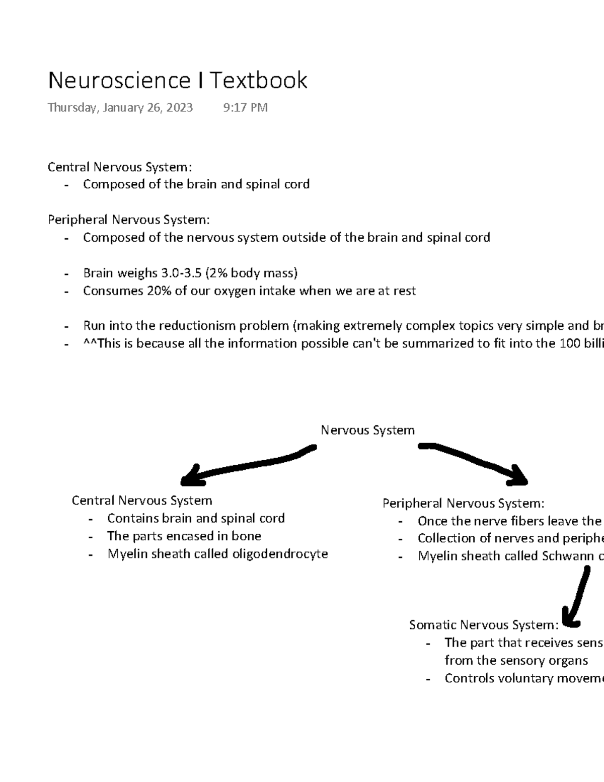 Neuroscience I Textbook Notes - PSYCH 1XX3 - McMaster - Studocu