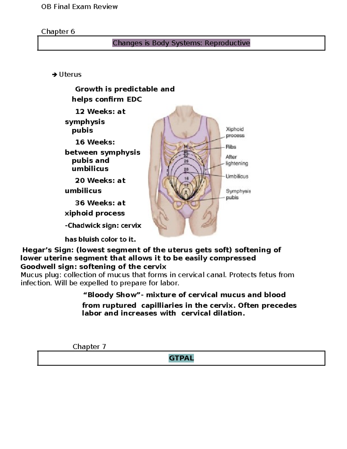 OB Final Exam Review word - OB Final Exam Review Chapter 6 Changes is Body Systems: Reproductive ...