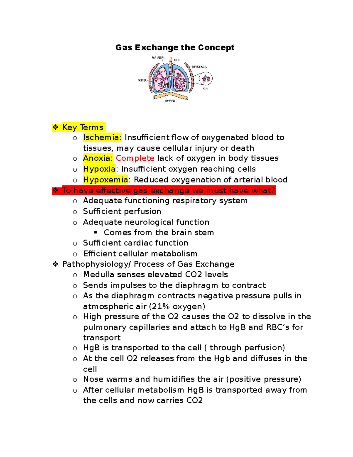 Gas Exchange the Concept - Studocu