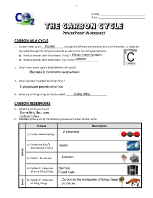 Carrying Capacity Activity Worksheet - Name ...