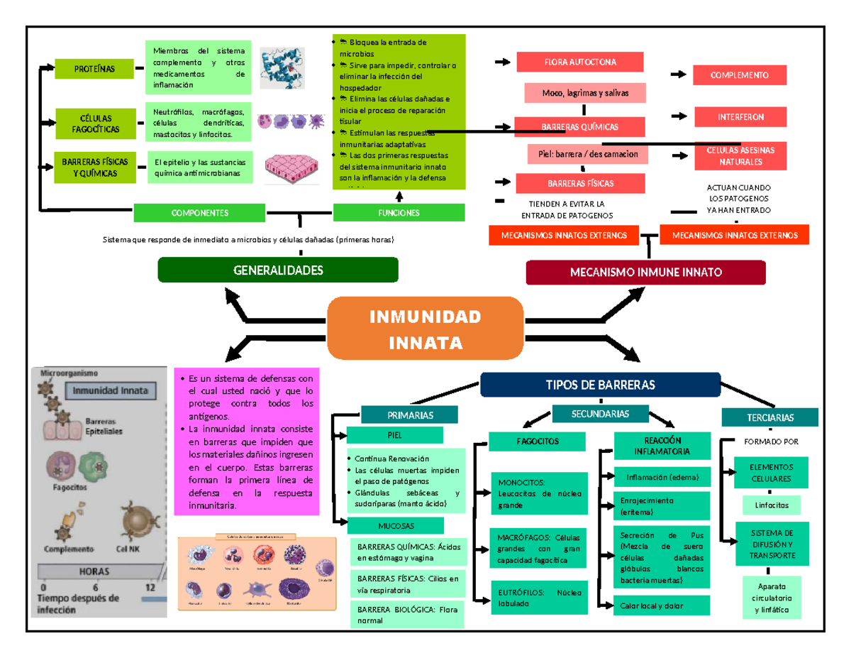 S7 IAL Inmunidad Innata - INMUNIDAD INNATA GENERALIDADES TIPOS DE ...