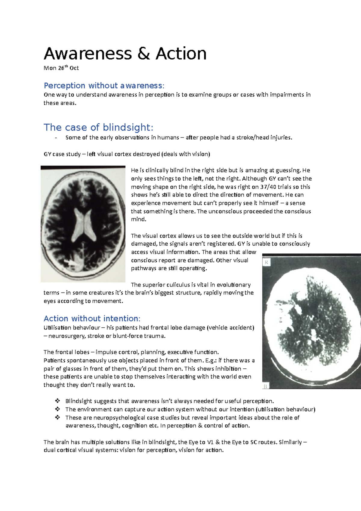 Awareness, perception & action - mon 26th oct - Awareness & Action Mon ...