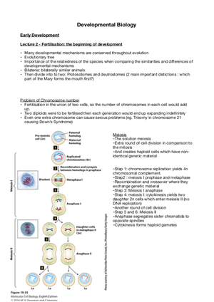 Developmental Biology - Patterning (Lecture 8-12 notes) - Prof Claudio ...