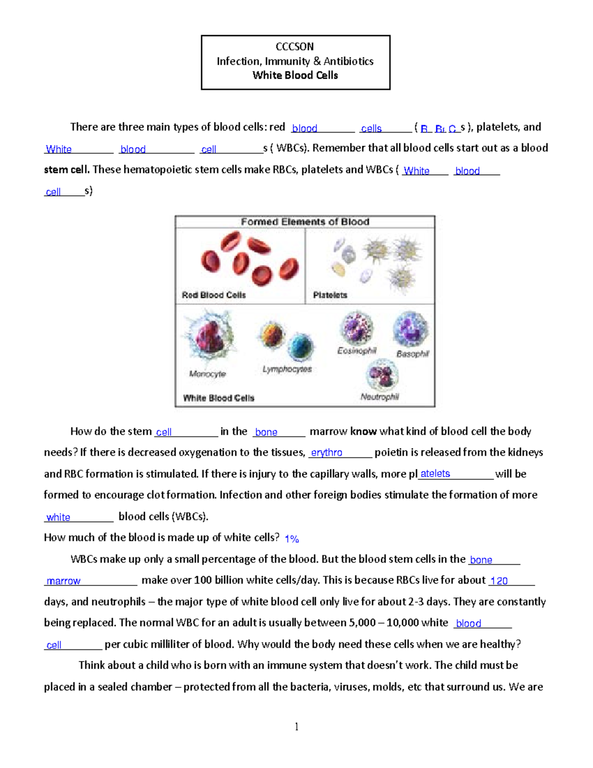 White Blood Cells (rev. Dec, 2022) - 1 There are three main types of ...