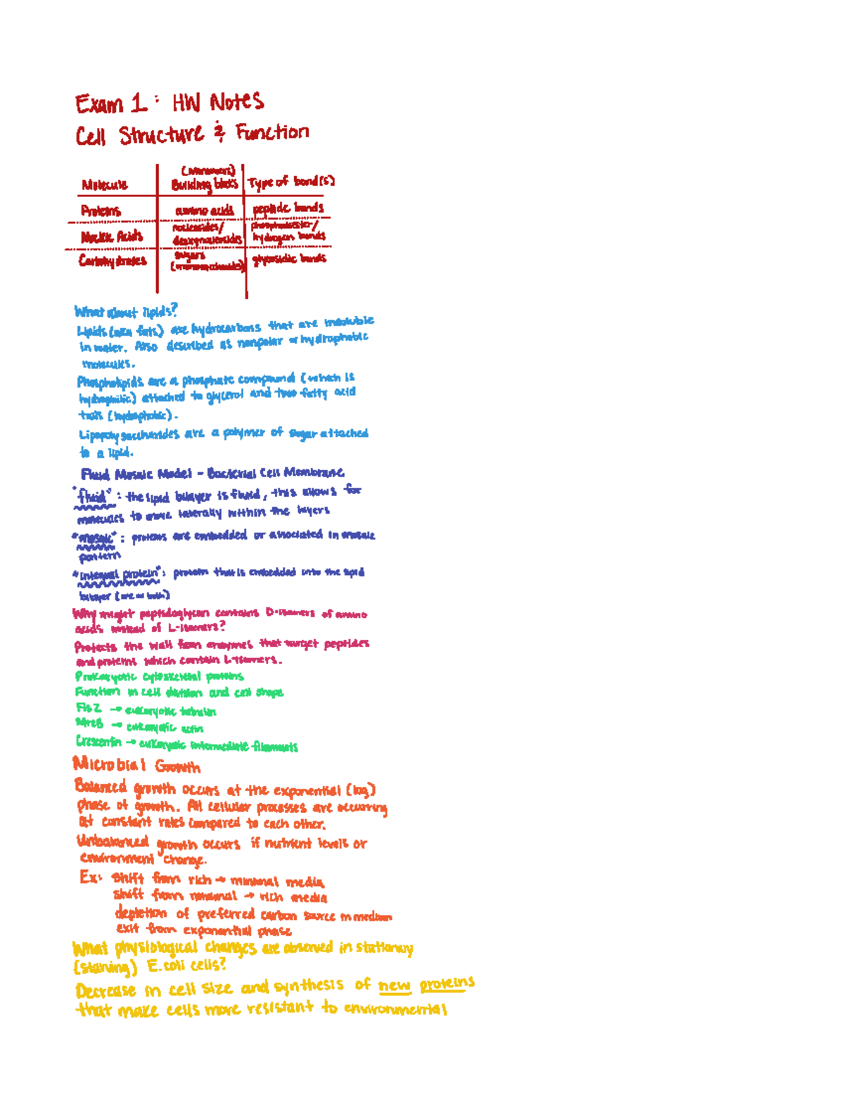 Exam 1 Summary Sheets - Exam 1 HWNotes Cell Structure Function Molecule ...
