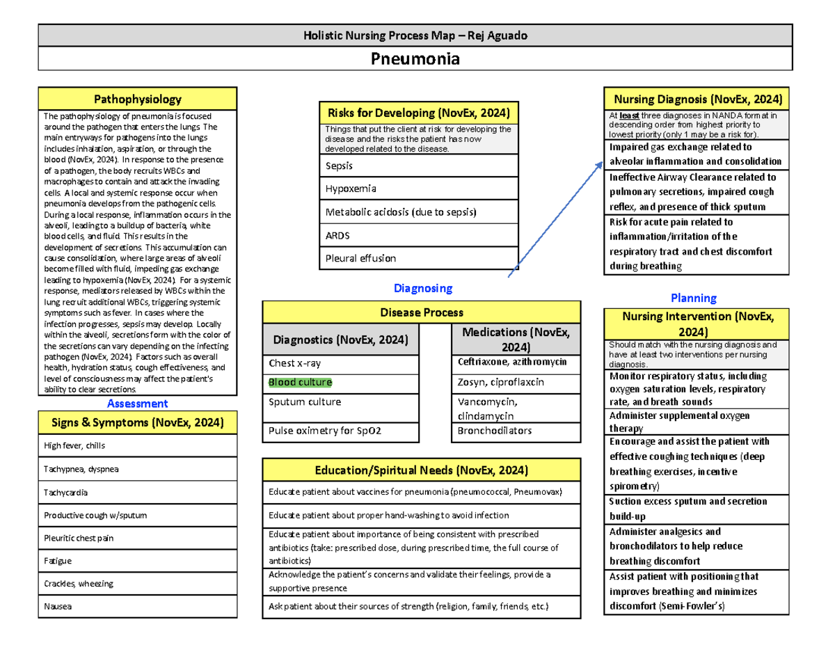 Pneumonia Concep Map - Holistic Nursing Process Map – Rej Aguado ...