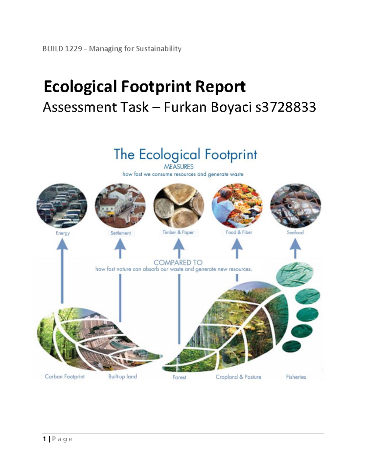Ecological Footprint Assignment - BUILD 1229 - Managing for ...