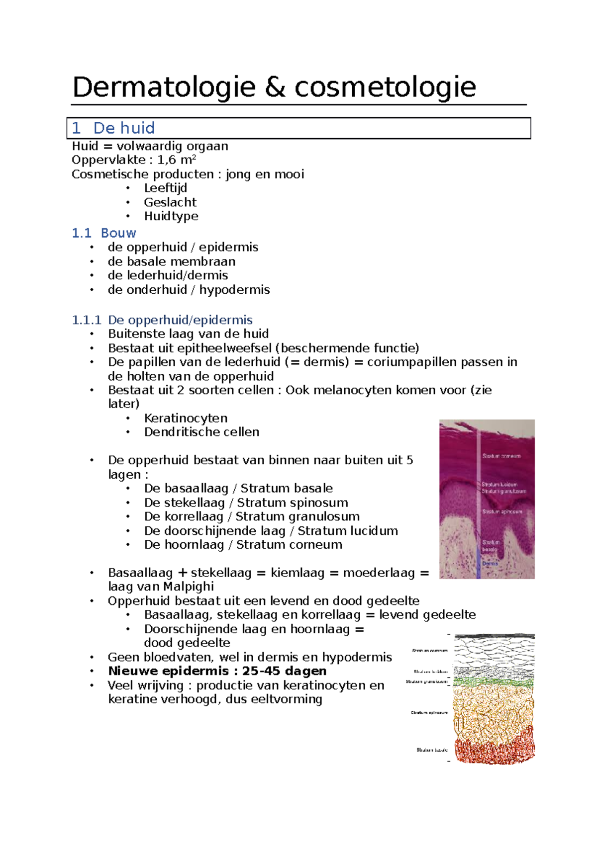 Dermatologie - samenvatting voor examen - Dermatologie & cosmetologie 1 ...
