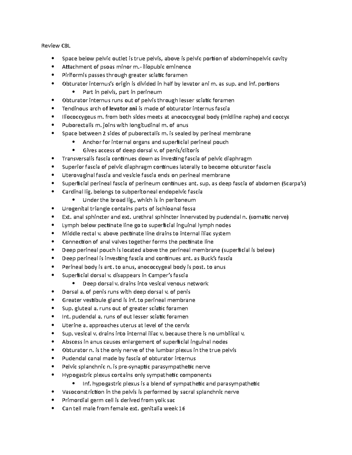 Exam 1 Review Case Based Learning (CBL) - Review CBL Space below pelvic ...