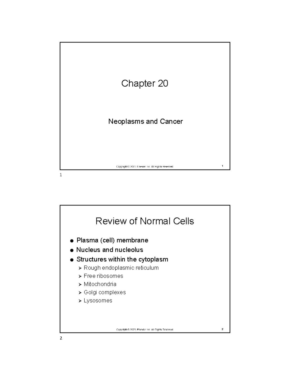 20 Neoplasms and Cancer - 1 Chapter 20 Neoplasms and Cancer 2 Review of Normal Cells Plasma ...