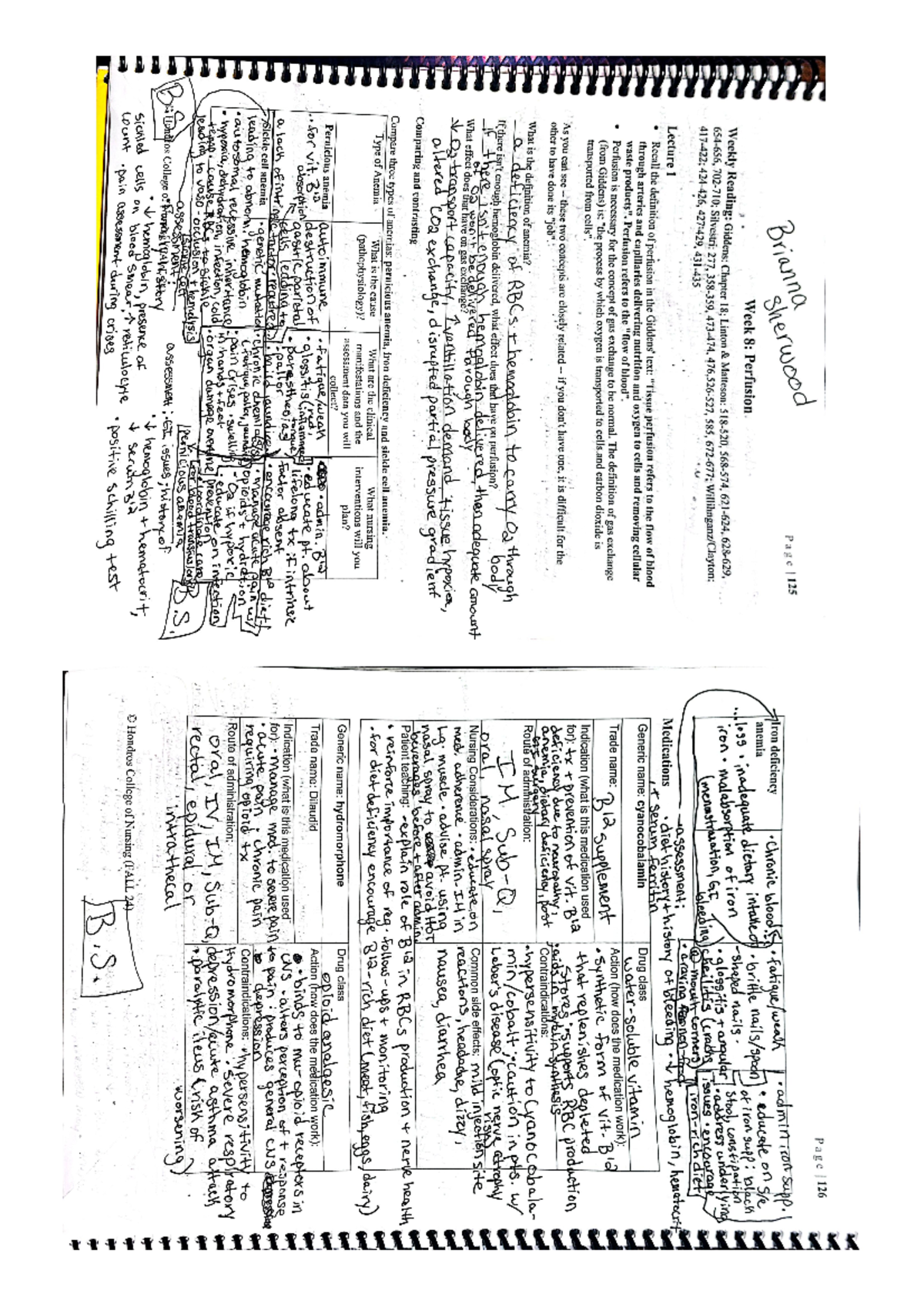 Nur 176 PCA week 8 - Week 8 PCA - Page 126 Brianngherwood Page 125 Iron ...
