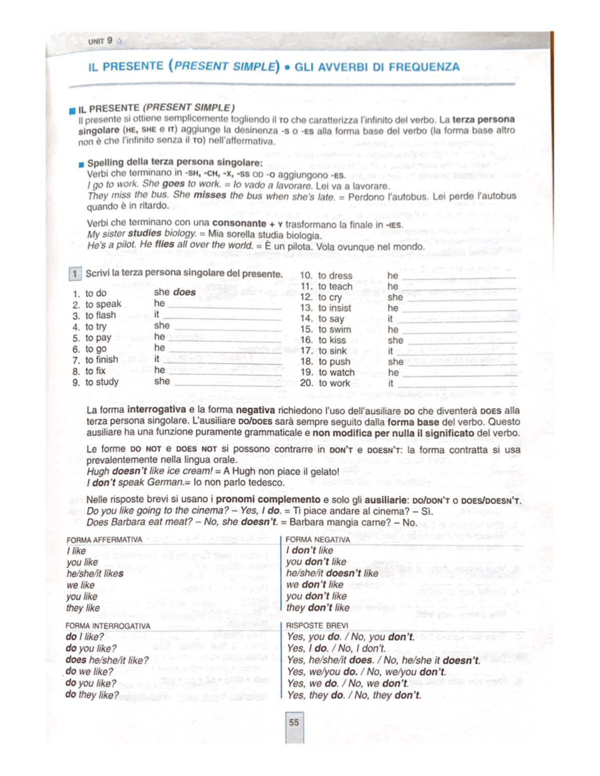 L Presente ( Present Simple) - inglese - Studocu