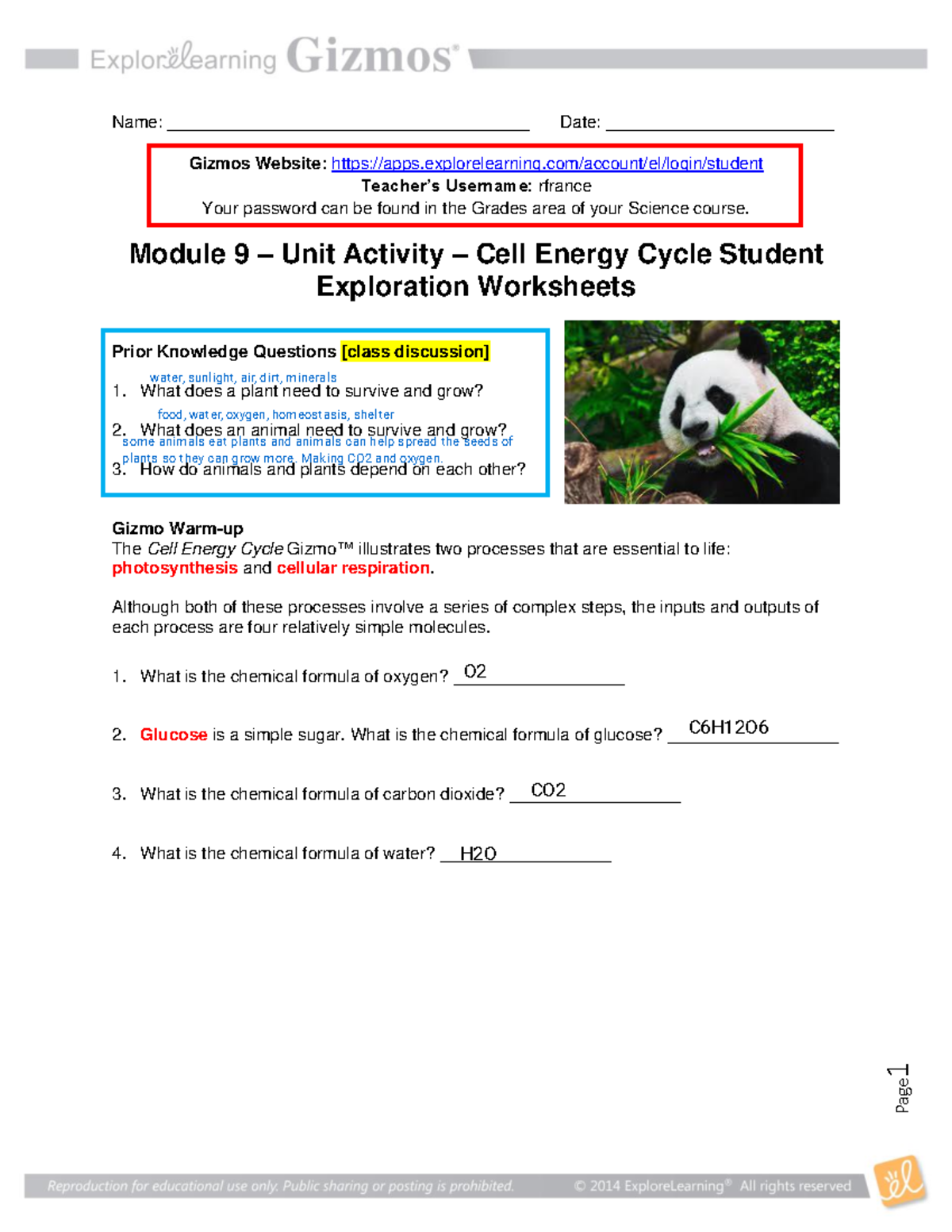 Kami Export - Module 9 - Unit Activity - Cell Energy Cycle Gizmo ...