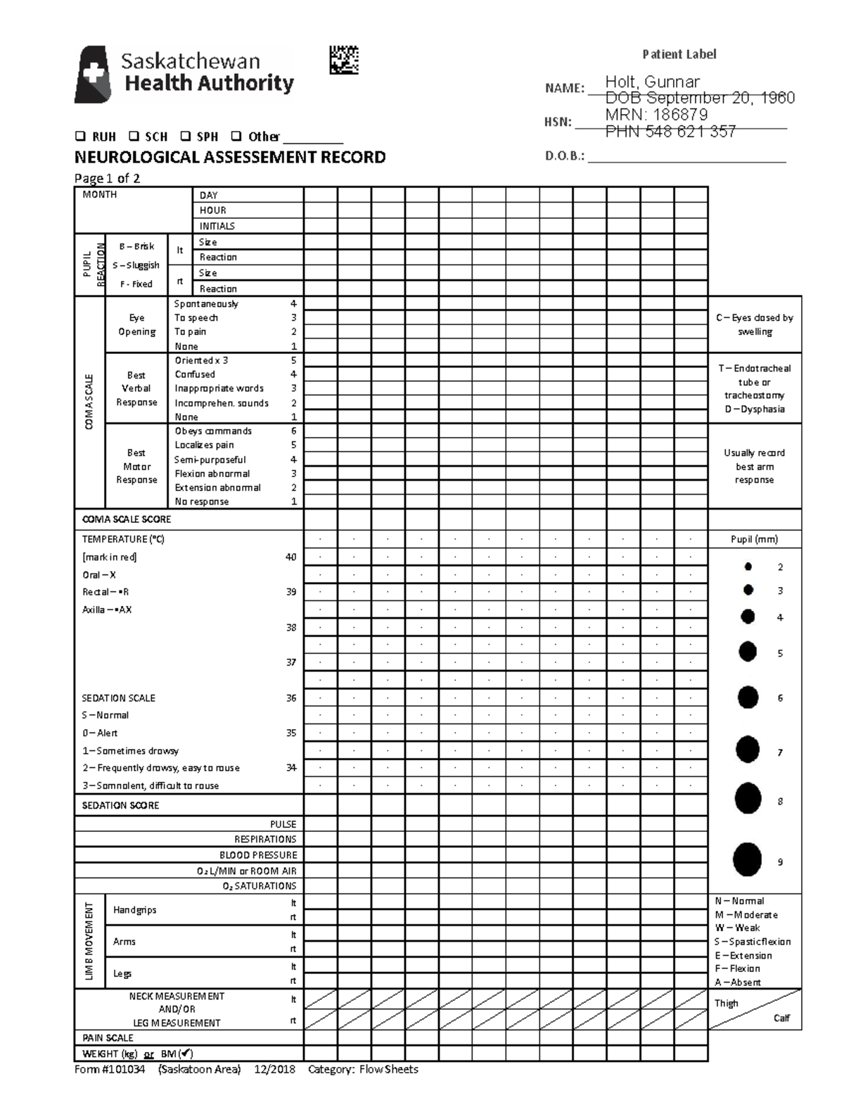 CNUR 204 2020 CNS Neurological Assessment Record Gunnar Holt chart ...