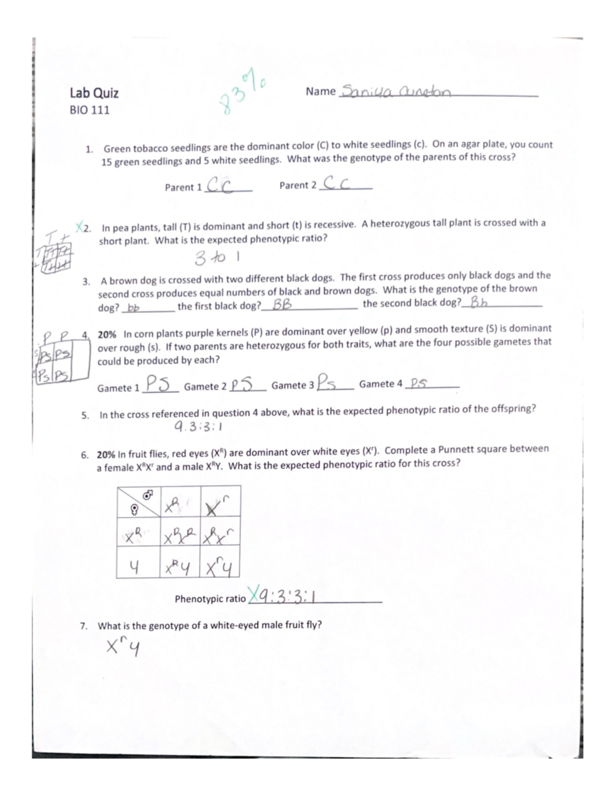 Lab Quiz - Lab quiz for lab #11 on Human Genetics with correct answers. - BIO-111 - Studocu