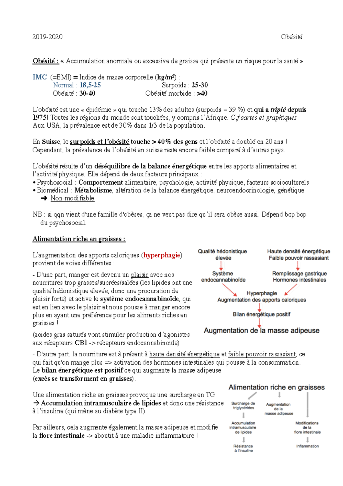 Obésité principes généraux - Warning: Error during font loading: XMLHttpRequest is not defined ...