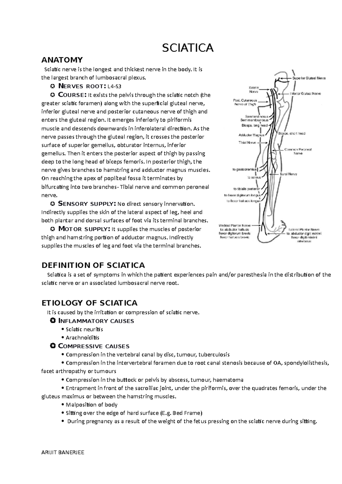 Sciatica - SCIATICA ANATOMY Sciatic nerve is the longest and thickest ...