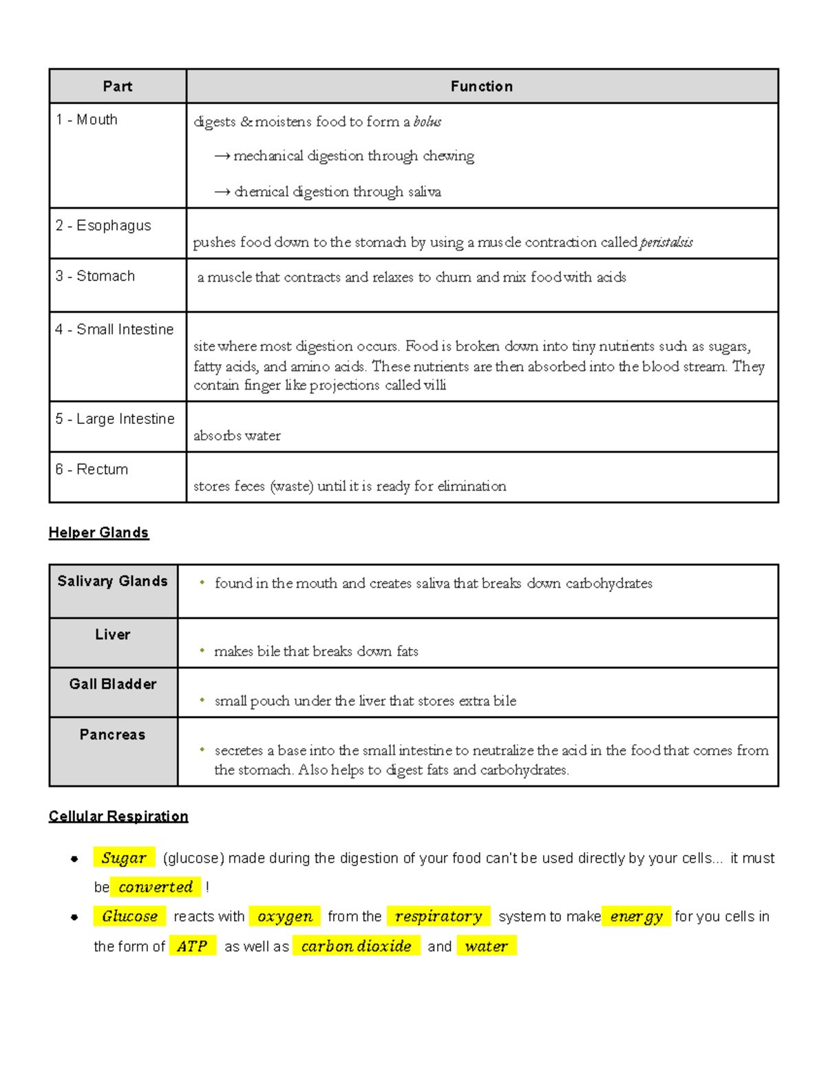 Part 2 of The Digestive System [Student Notes] - Google Docs - Part ...