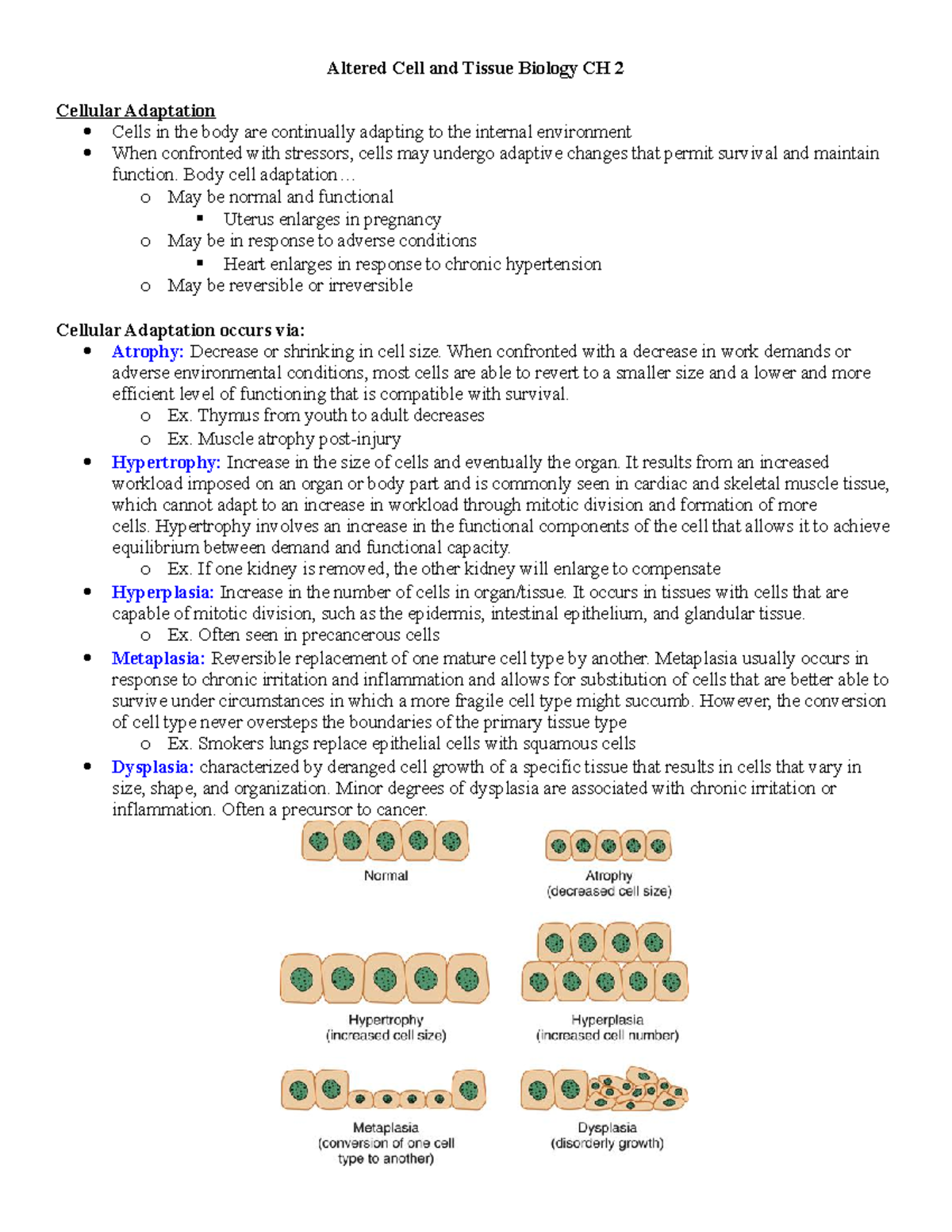 Test1 CH2 Altered Cell and Tissue Biology - Altered Cell and Tissue ...