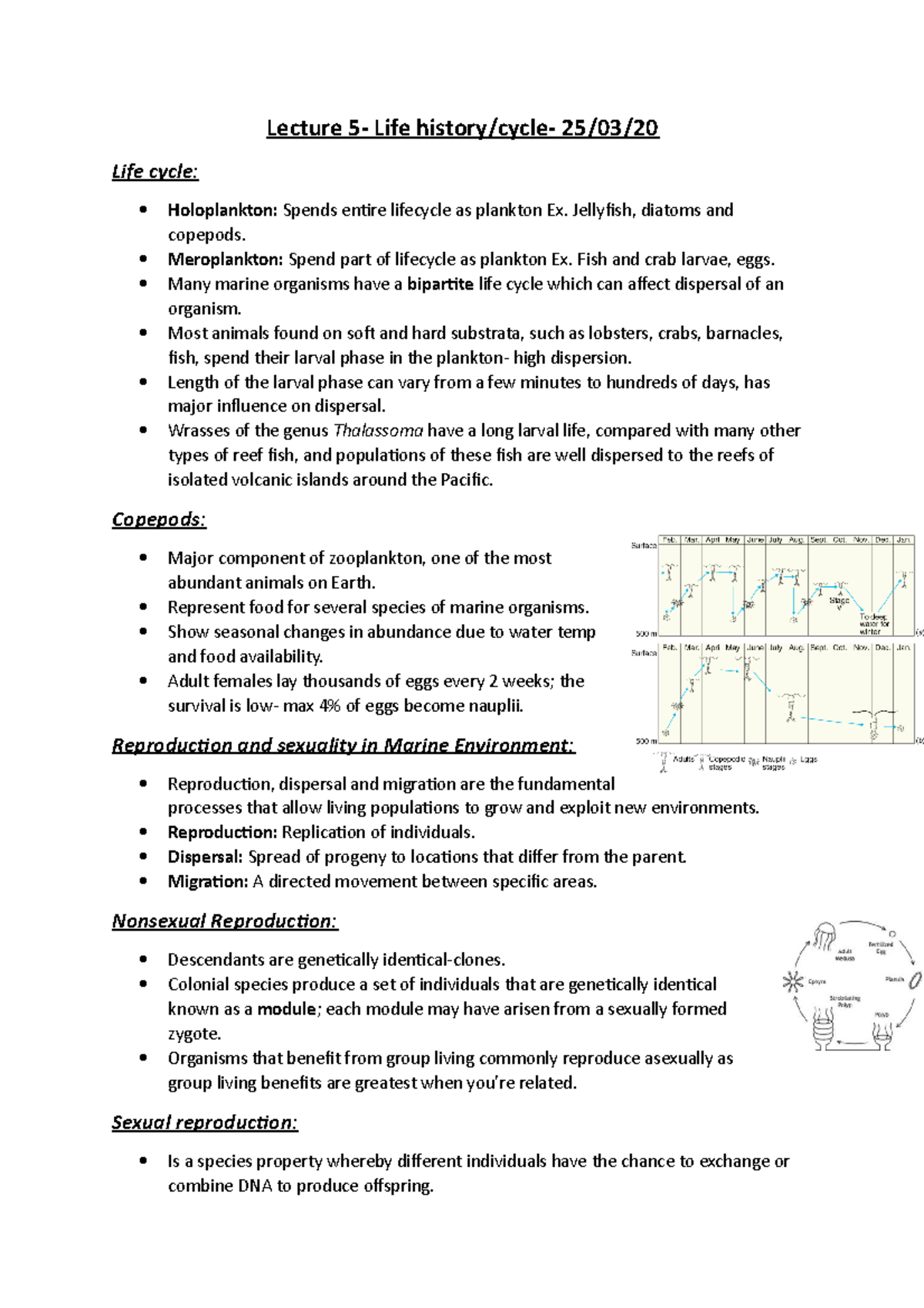 Lecture 5 - Life Cycle-history - Lecture 5- Life history/cycle- 25/03 ...
