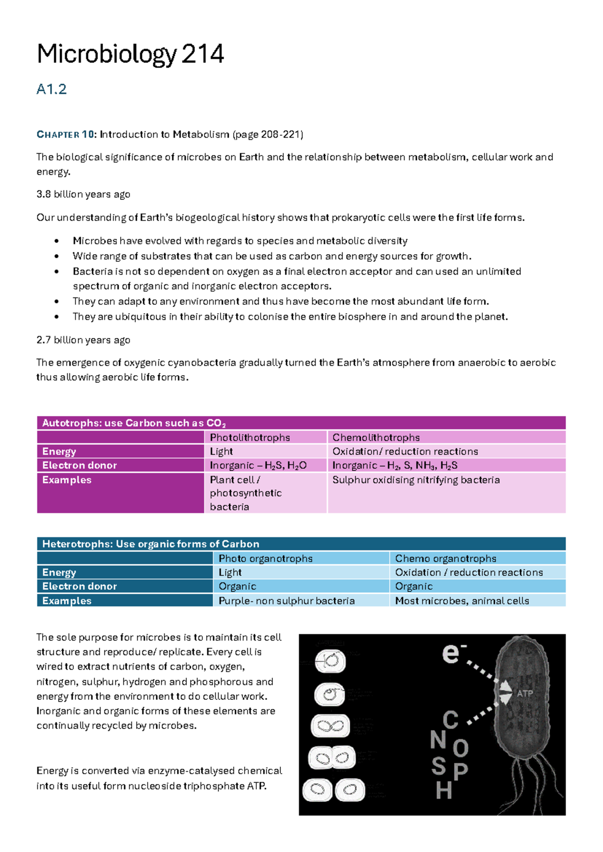 Microbiology notes - Microbiology 214 A1. CHAPTER 10 : Introduction to ...