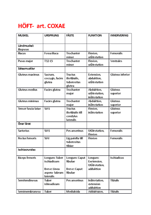 Anatomi II - Alla muskler, leder och skelettdelar - Anatomi II Nedre ...