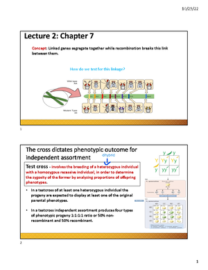 Ansci 3213 2022 Chapter 7,6 Lecture 6 - Genome wide association mapping ...